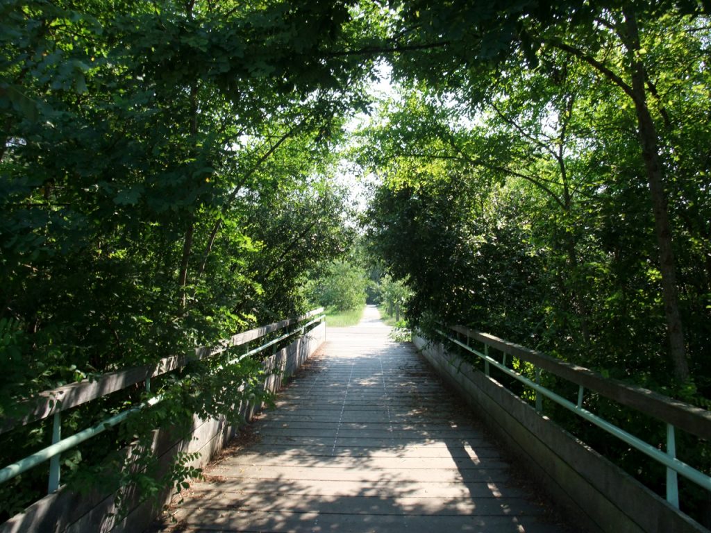 Ecosite du Bourgailh : un projet nature et environnement à Pessac ...
